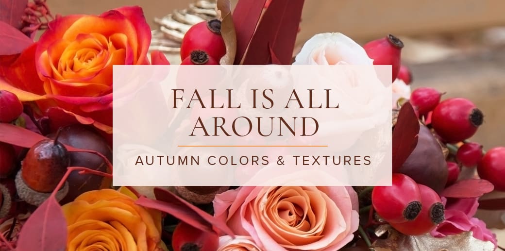 Add These Fall Flowers to Your Home to Celebrate the Season's Richest ...