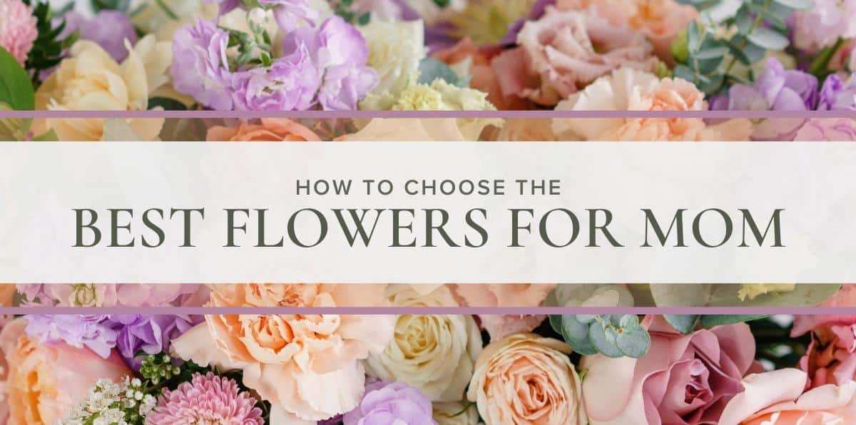 Moms Deserve the Best Blooms for Mother's Day - Here's Where to Find ...